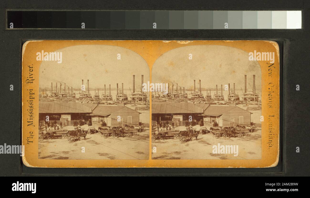 The levee and railroad station The levee and railroad station.; The ...