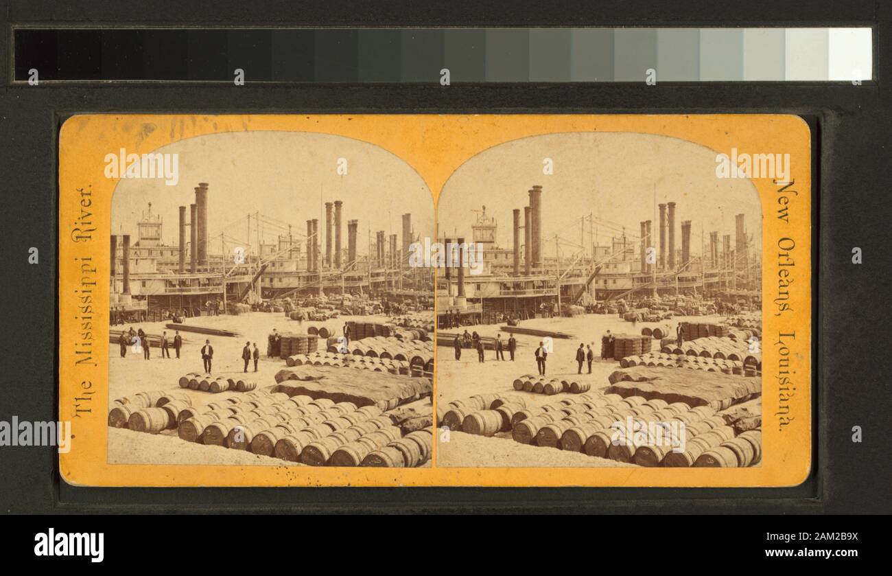 The levee and railroad station The levee and railroad station.; The ...