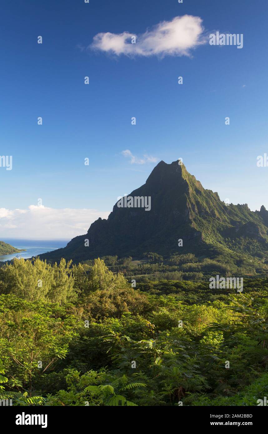 Mount Rotui, Mo'orea, Society Islands, French Polynesia Stock Photo - Alamy