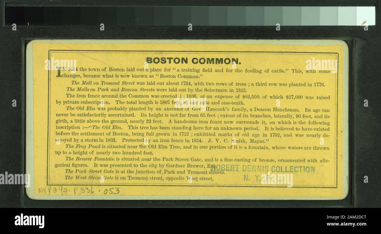 The old elm tree, Boston Common The old elm tree, Boston Common.; The ...