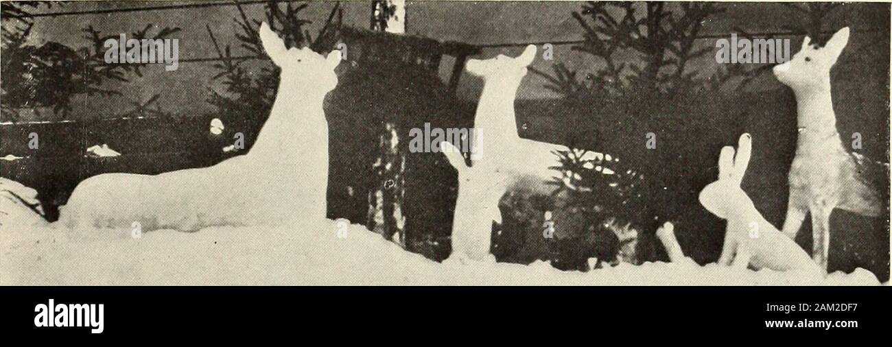 StNicholas [serial] . LITTLE WHITE RIDING-HOOD AND A WHITE WOLF.Both ...