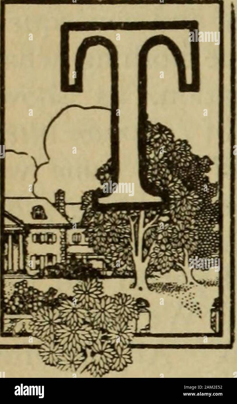 Man without merit hi-res stock photography and images - Alamy