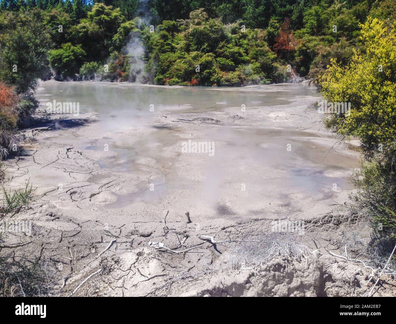 Geothermal pool at Kuirau Park in Rotorua, North Island, New Zealand ...