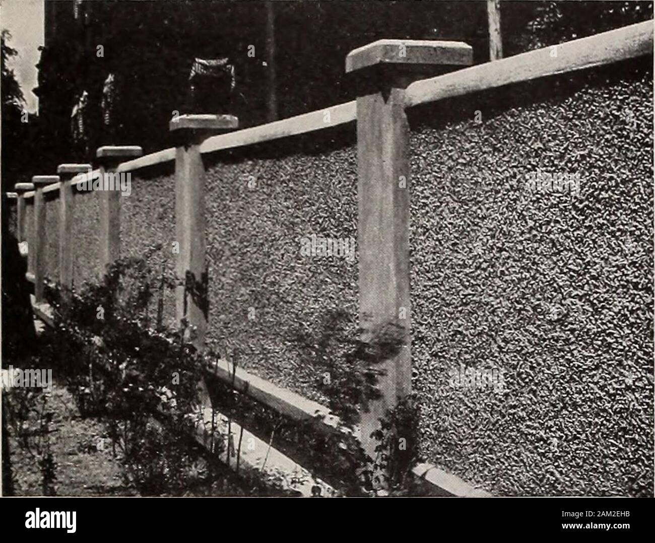 Hy-rib and metal lath for concrete, stucco and plaster in roofs, floors ...