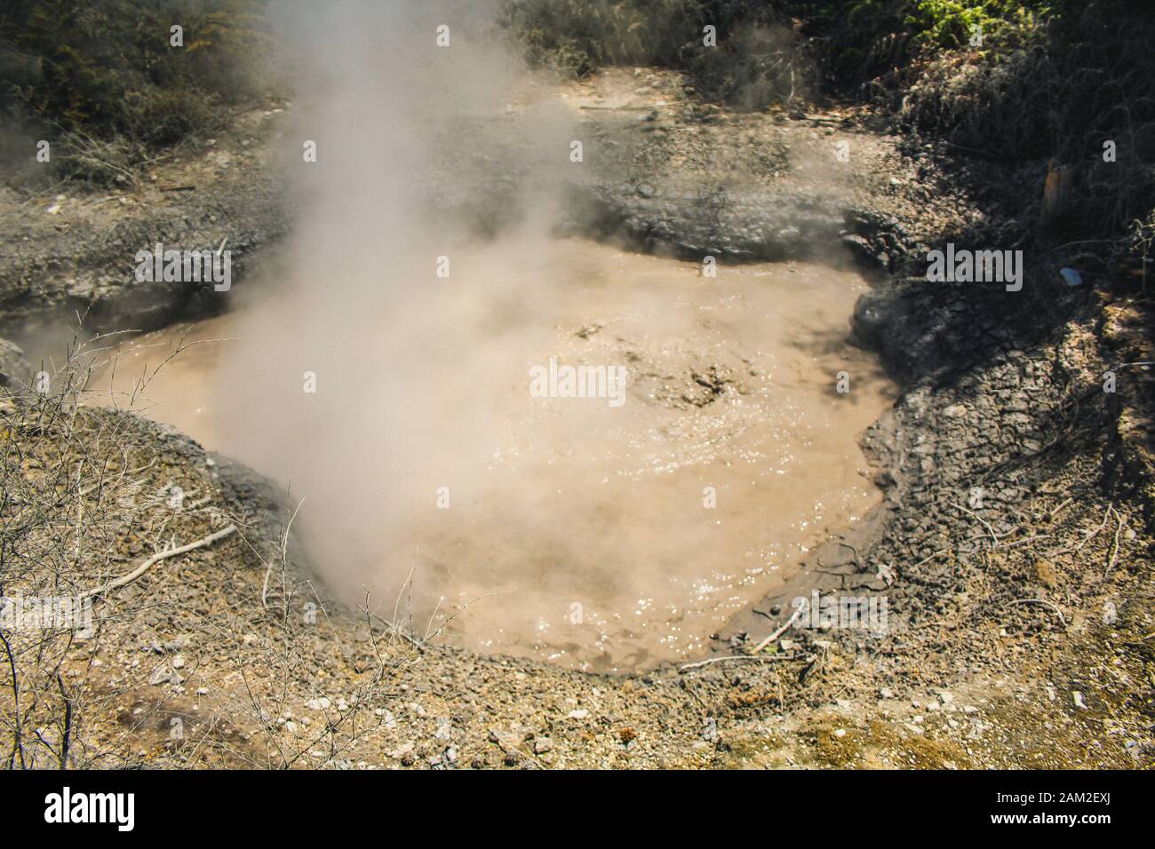 Mud pool at Kuirau Park in Rotorua, North Island, New Zealand Stock ...