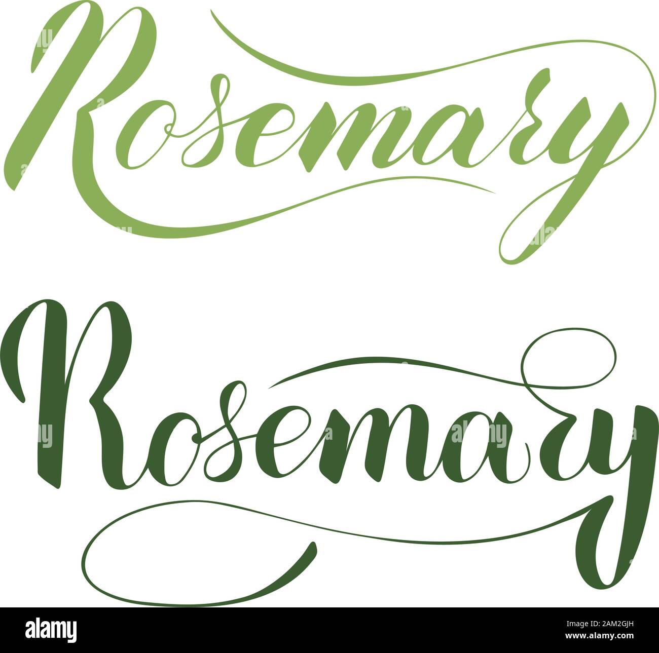 Vector hand written rosemary text isolated on white background. Kitchen ...