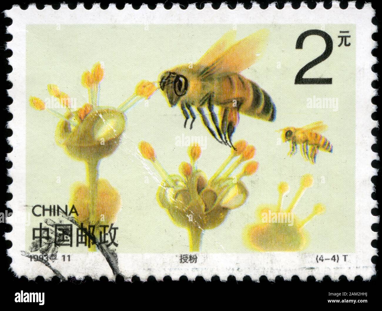 Chinese honey bees hi-res stock photography and images - Alamy
