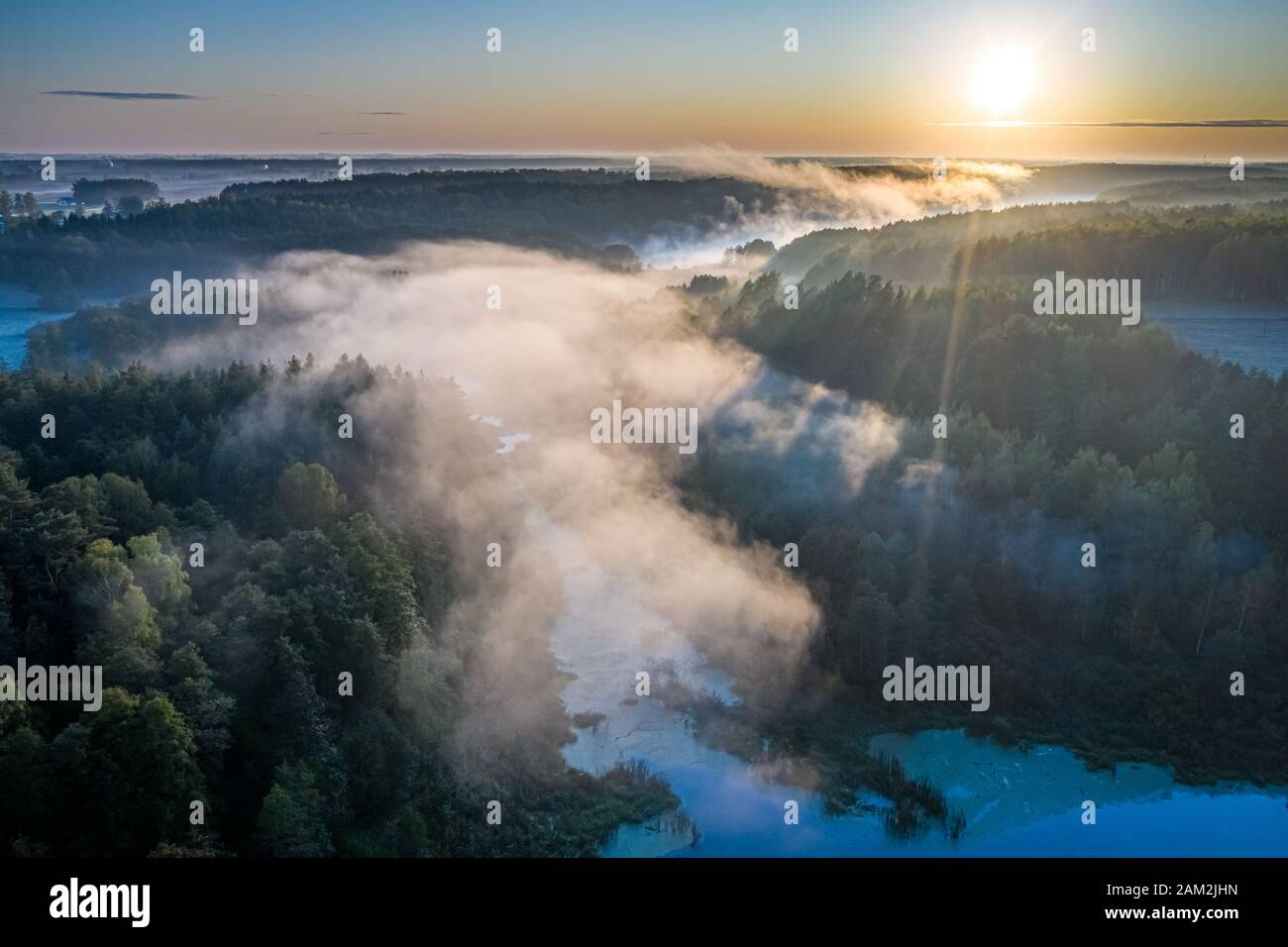 Flying above forest in stunning hi-res stock photography and images - Alamy