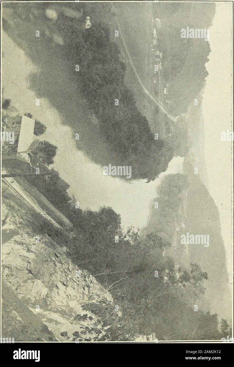 Iron ores, salt and sandstones . the quarry shows, Feet. Shales 2 Pink ...