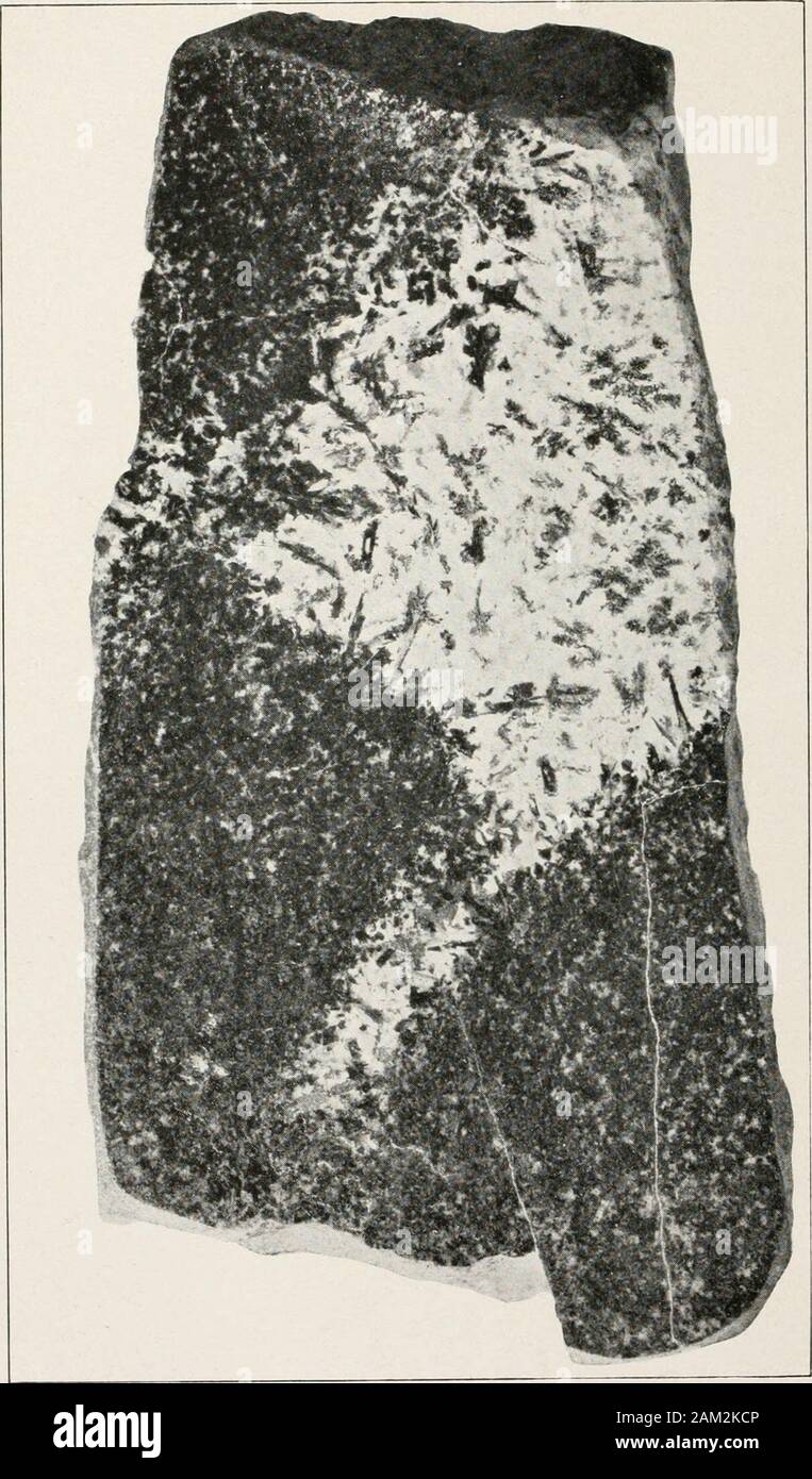 Diabase plate hi-res stock photography and images - Alamy