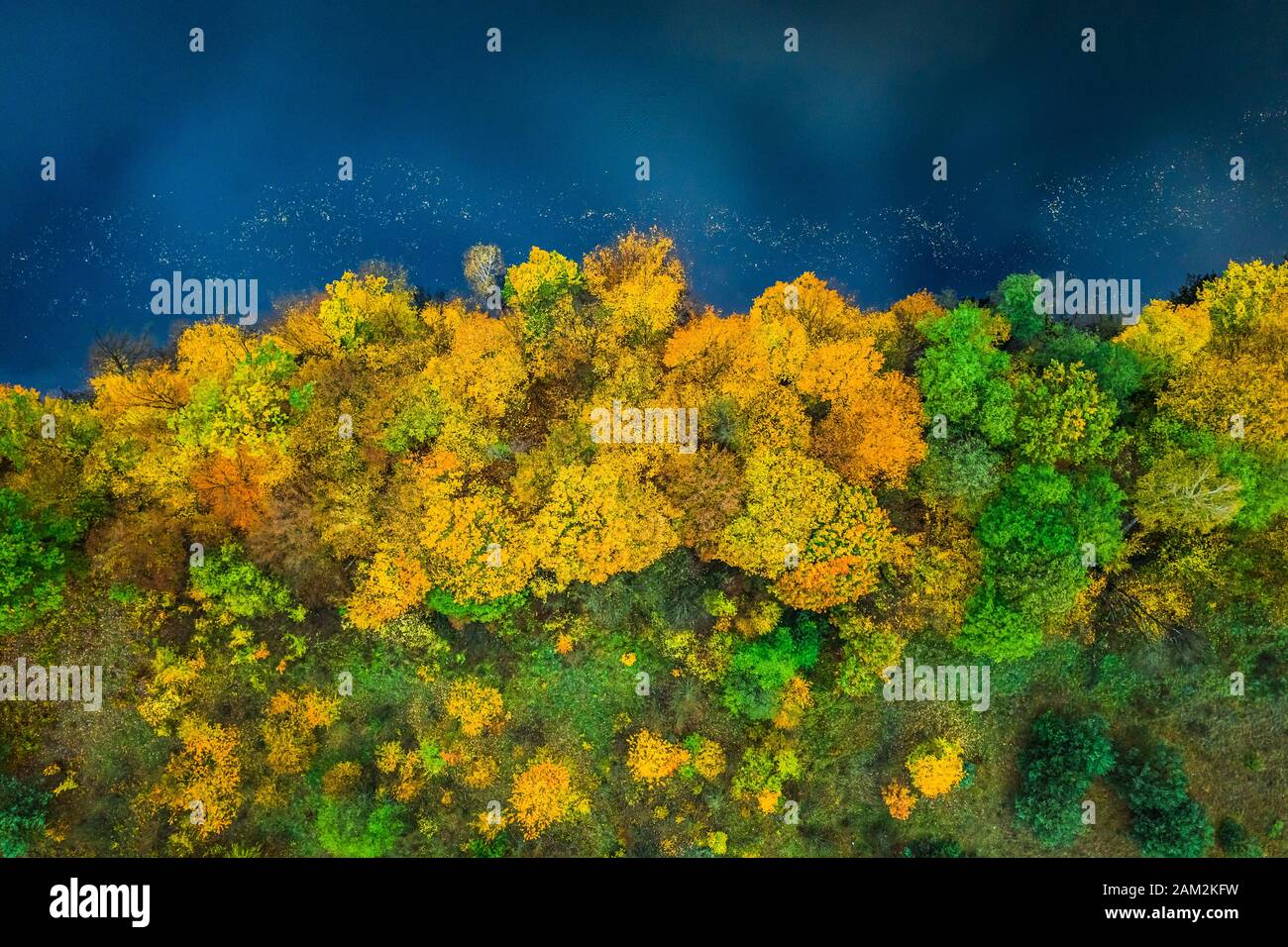 Top down view of blue river and forest Stock Photo - Alamy