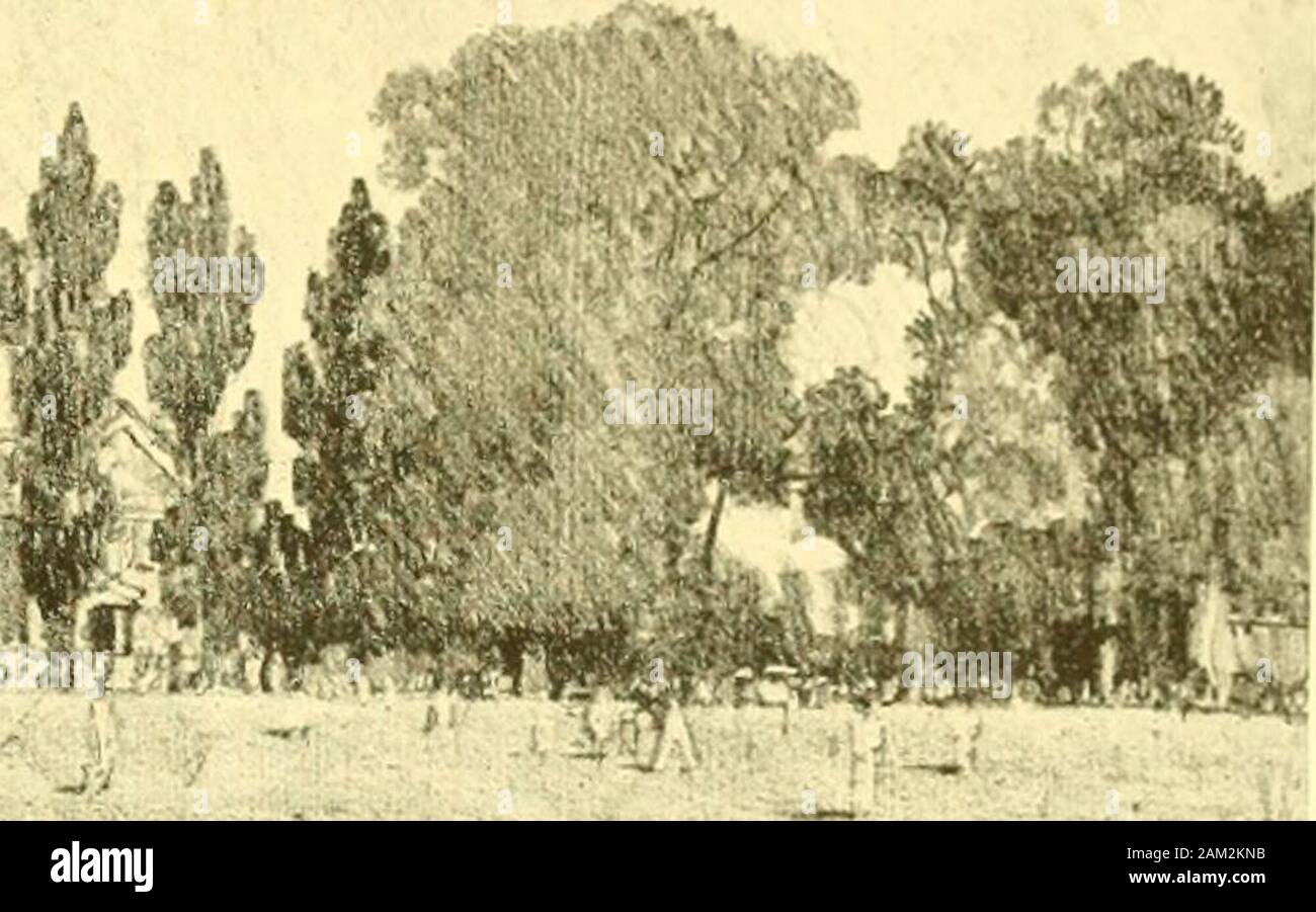 Swimminglesson hi-res stock photography and images - Alamy