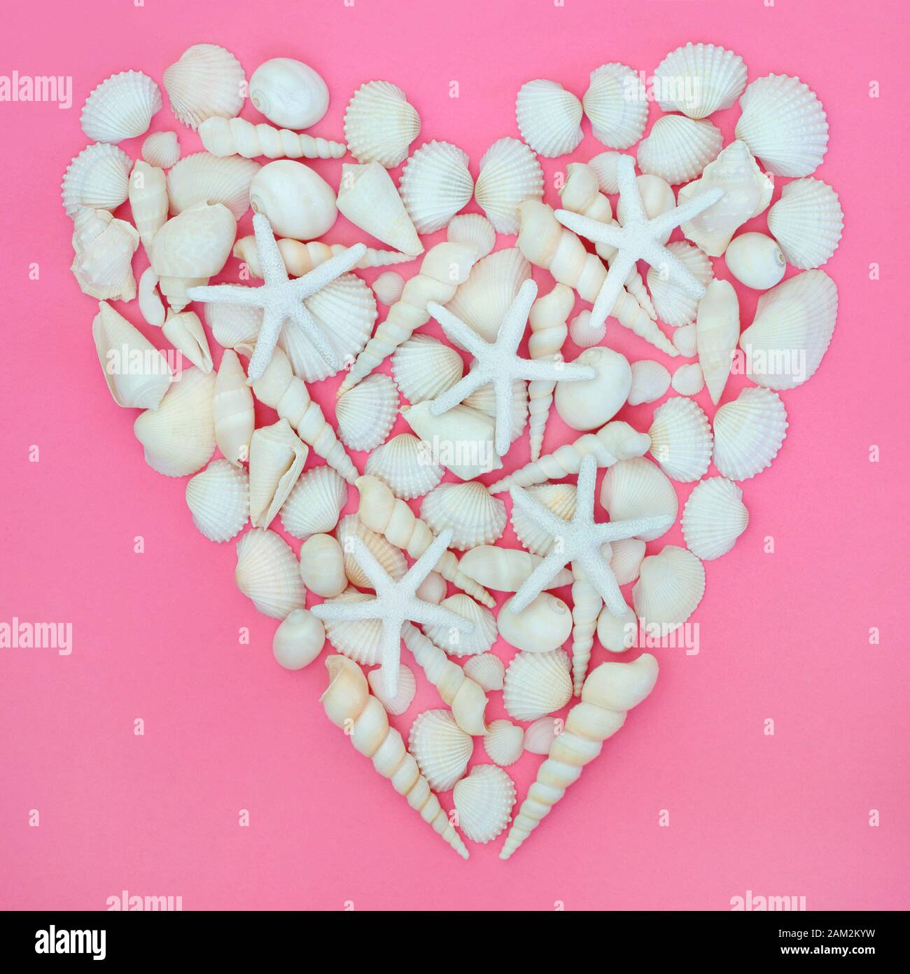 Starfish and shell heart with a variety of white shells on pastel pink ...