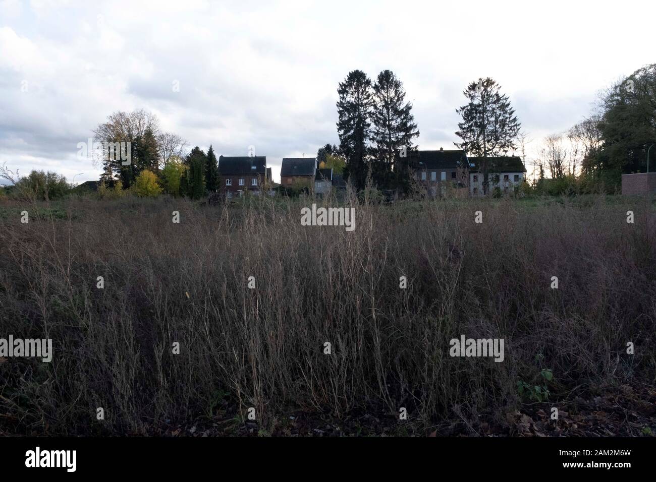 Overgrown field in front of abandoned houses in coal mining town of ...