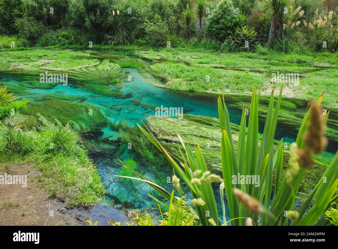 Putaruru Stock Photos & Putaruru Stock Images - Alamy