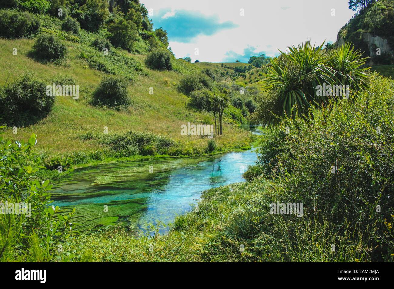 Beautiful scenery at Blue Spring in Putaruru between Hamilton and ...