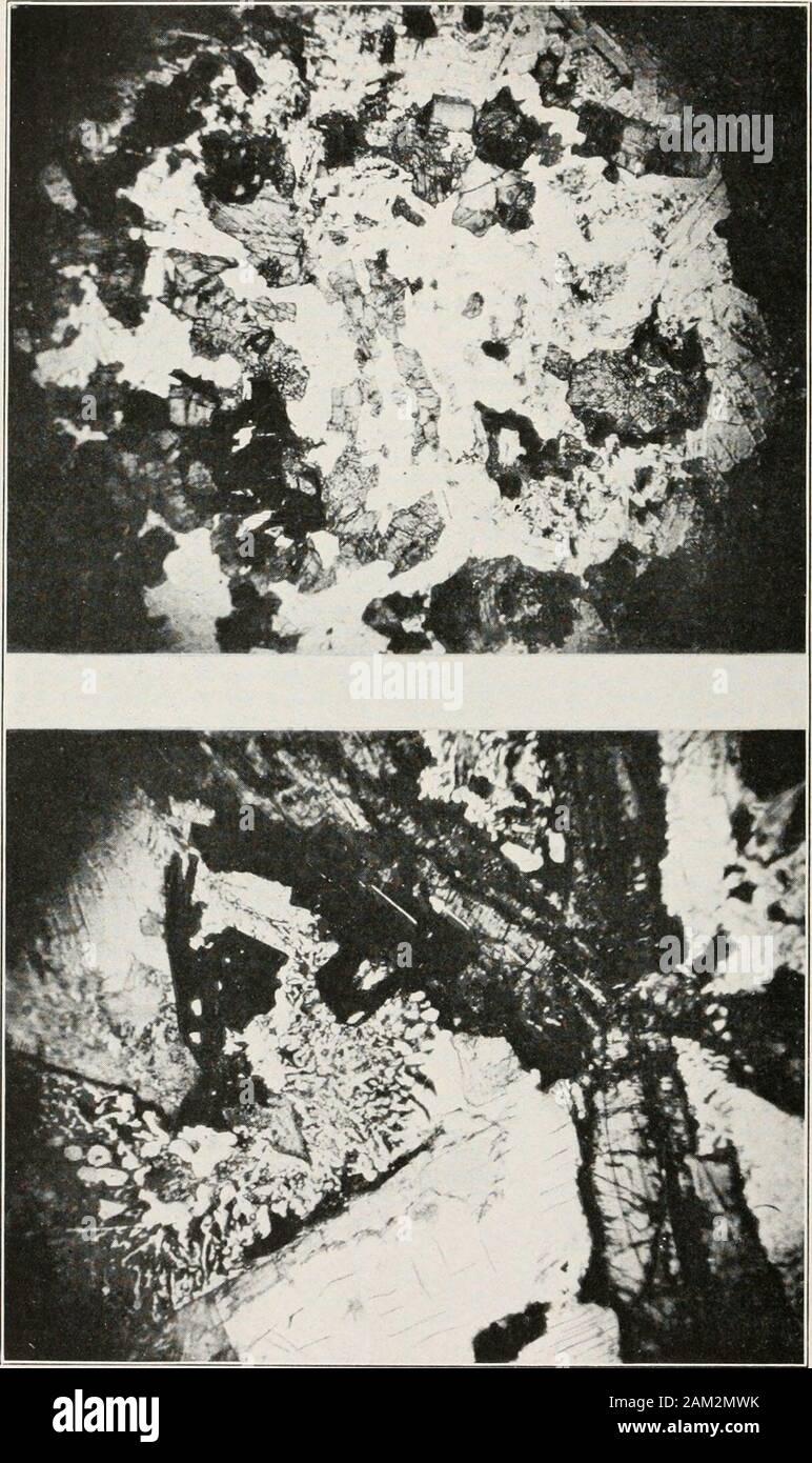 Proceedings of the United States National Museum . Diabase and Diabase ...