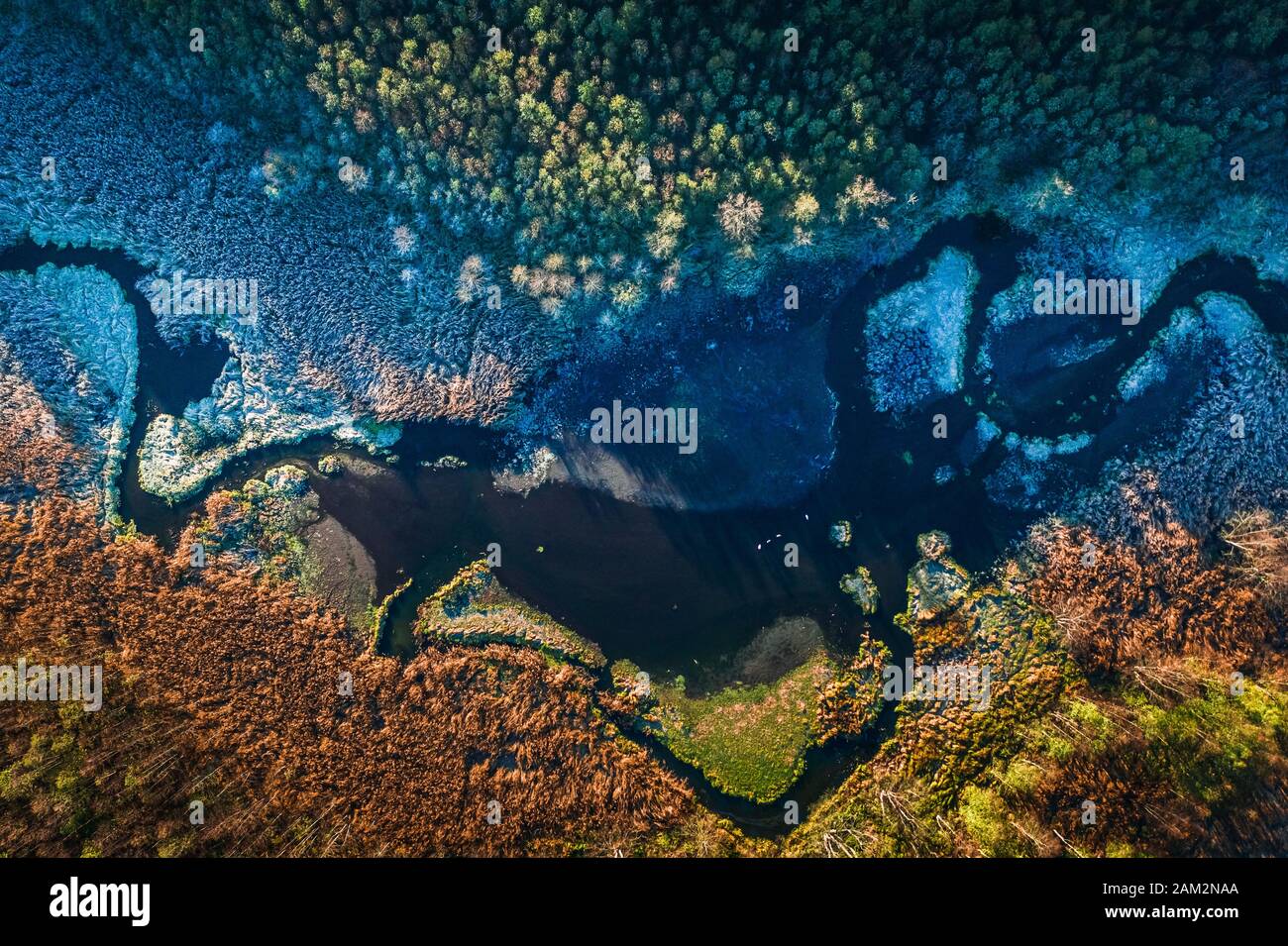 Aerial view of multi colored swamp in autumn Stock Photo - Alamy