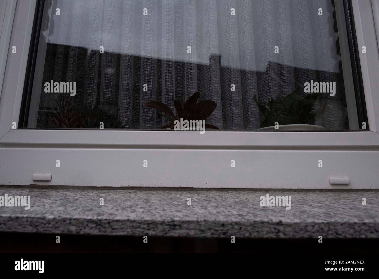 Potted plants inside window of house in town being cleared for coal ...