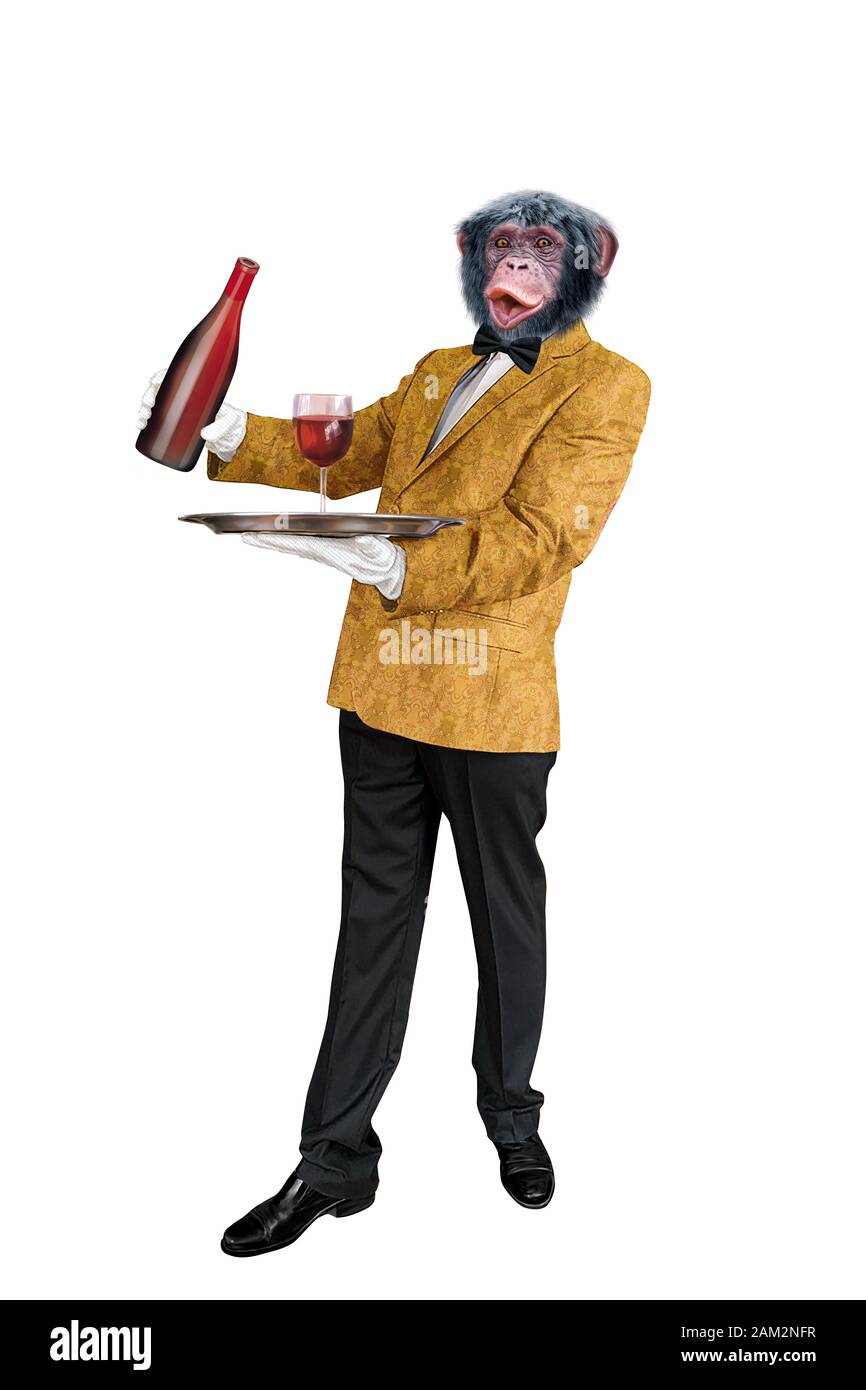 Hybrid chimpanzee man realistic illustration Stock Photo - Alamy