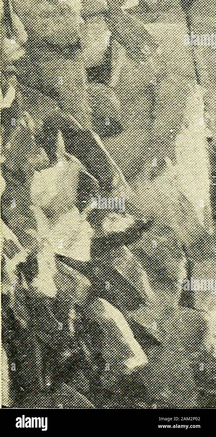 Joint fractures rock hi-res stock photography and images - Alamy