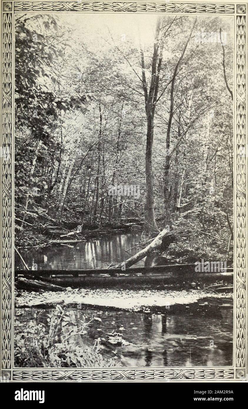 Eleanor randall hi-res stock photography and images - Alamy