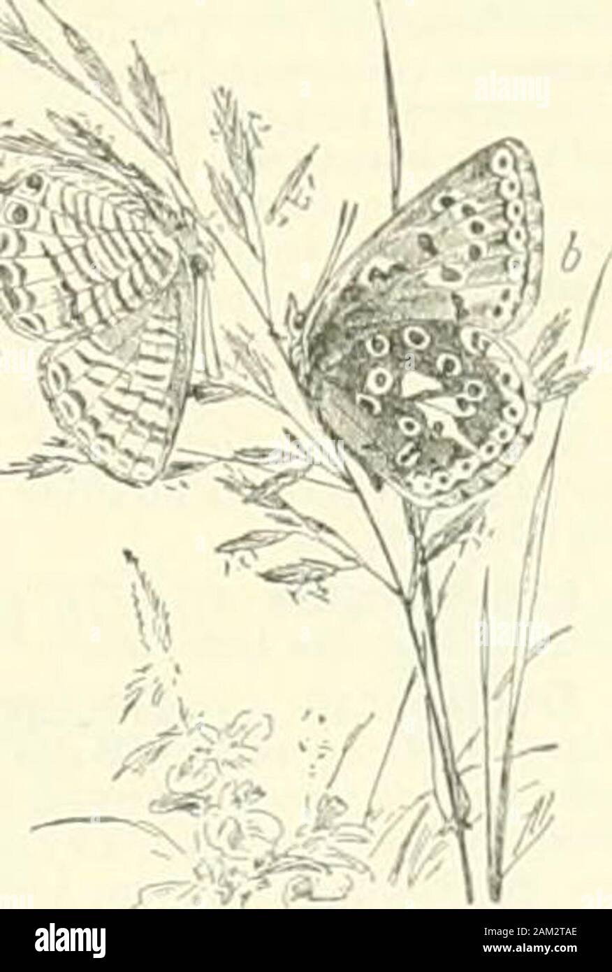 Philosophie du gouvernement hi-res stock photography and images - Alamy