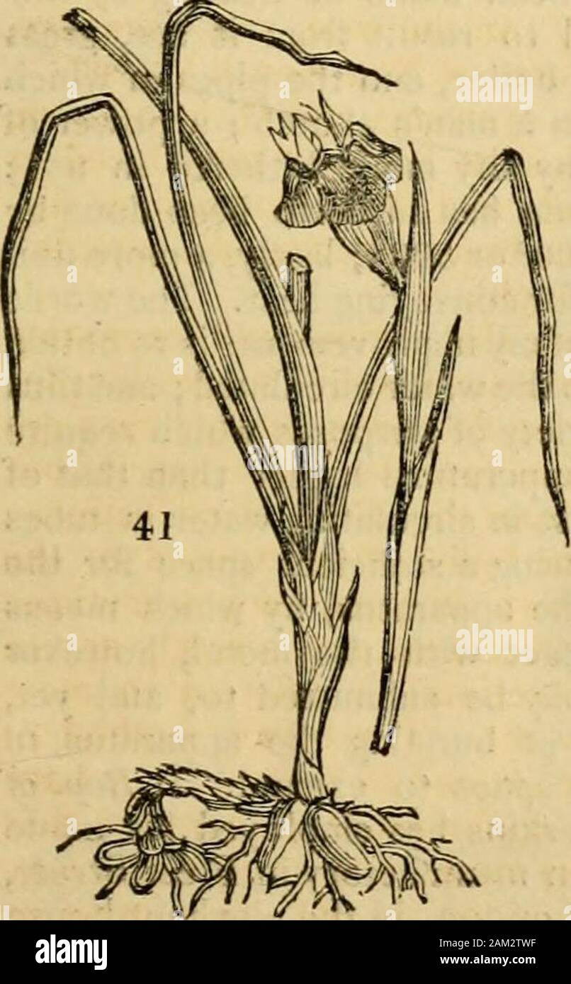 The Gardener's magazine and register of rural & domestic improvement ...