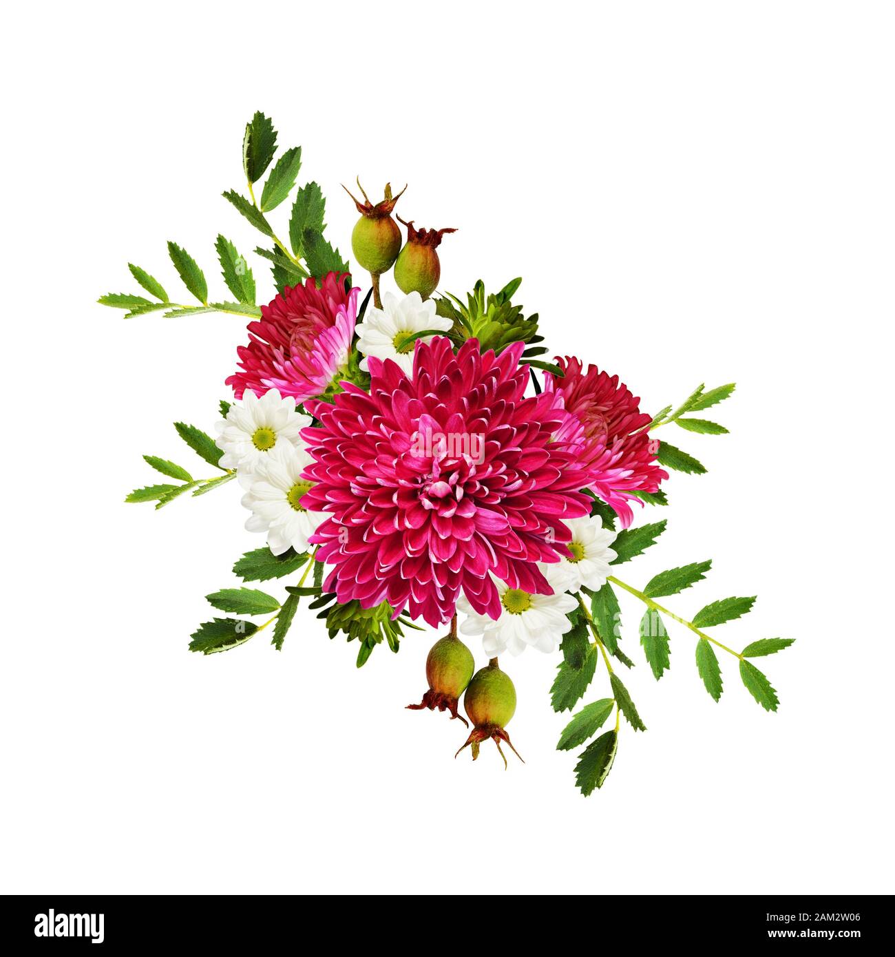 Autumn composition Cut Out Stock Images & Pictures - Alamy