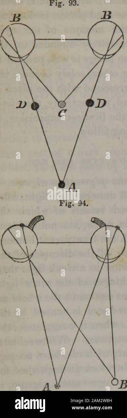 Distorted anatomy hi-res stock photography and images - Alamy