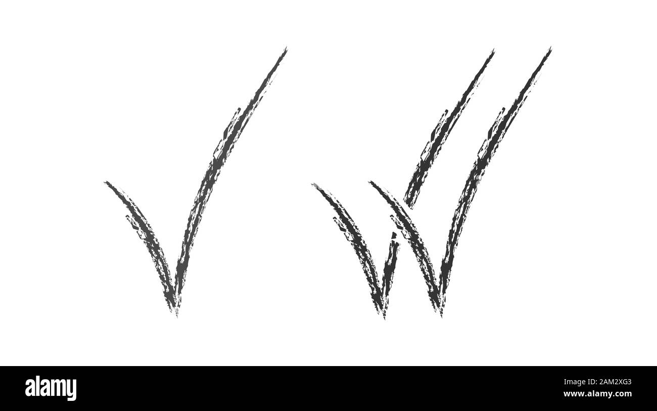Pencil sketch single and double check mark in Doodle style. Isolated on ...