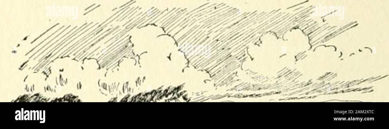 Fishing and shooting sketches . v*^i8ifi!/??i;/ -SS,^.^ Stock Photo - Alamy