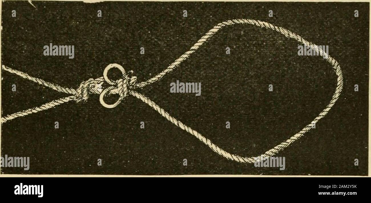 12 red lion square hi-res stock photography and images - Alamy