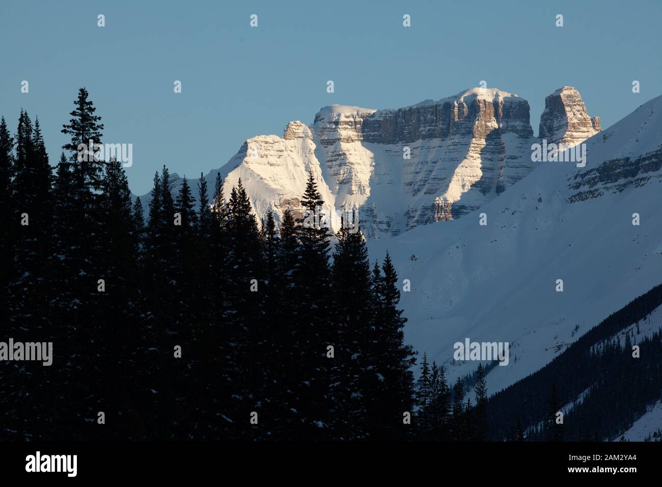 Snow-capped mountain range, Jasper National Park, Jasper, Alberta ...