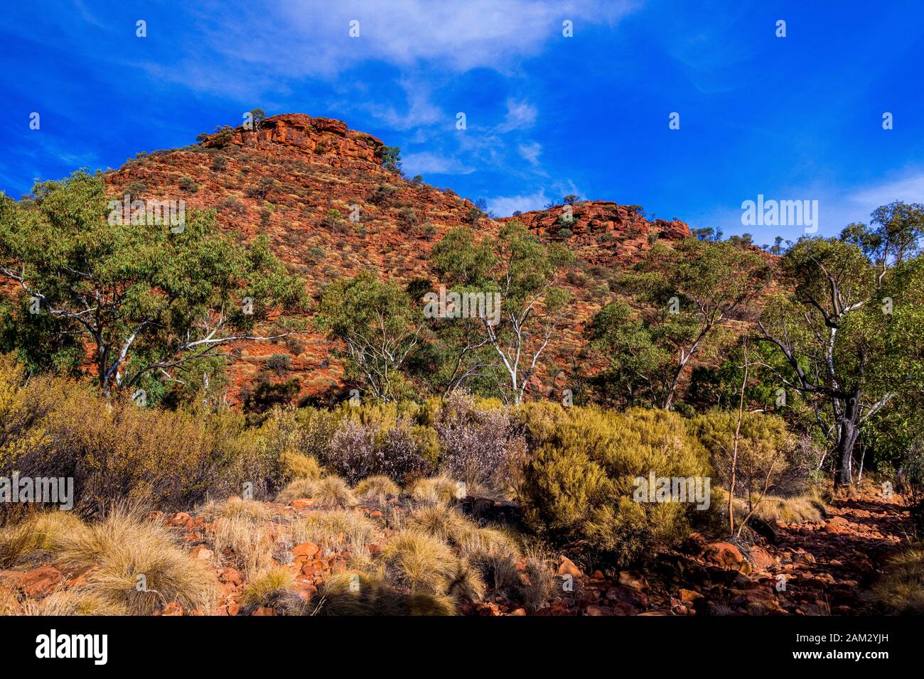 Scenery along the Kings Canyon Rim Walk in the Northern Territory in ...