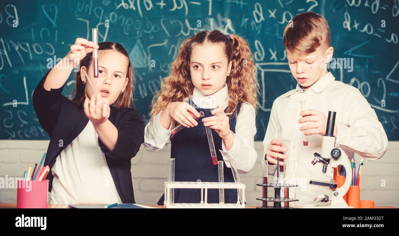 School laboratory. Group school pupils study chemical liquids. School ...