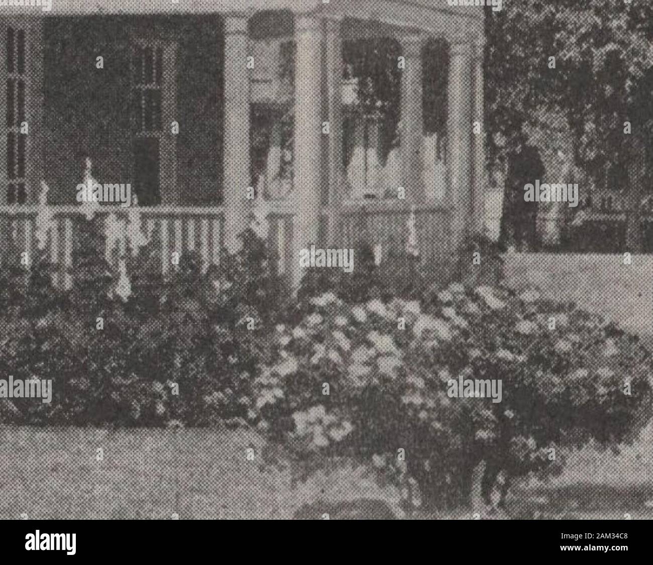 Colonial Home For Trellis