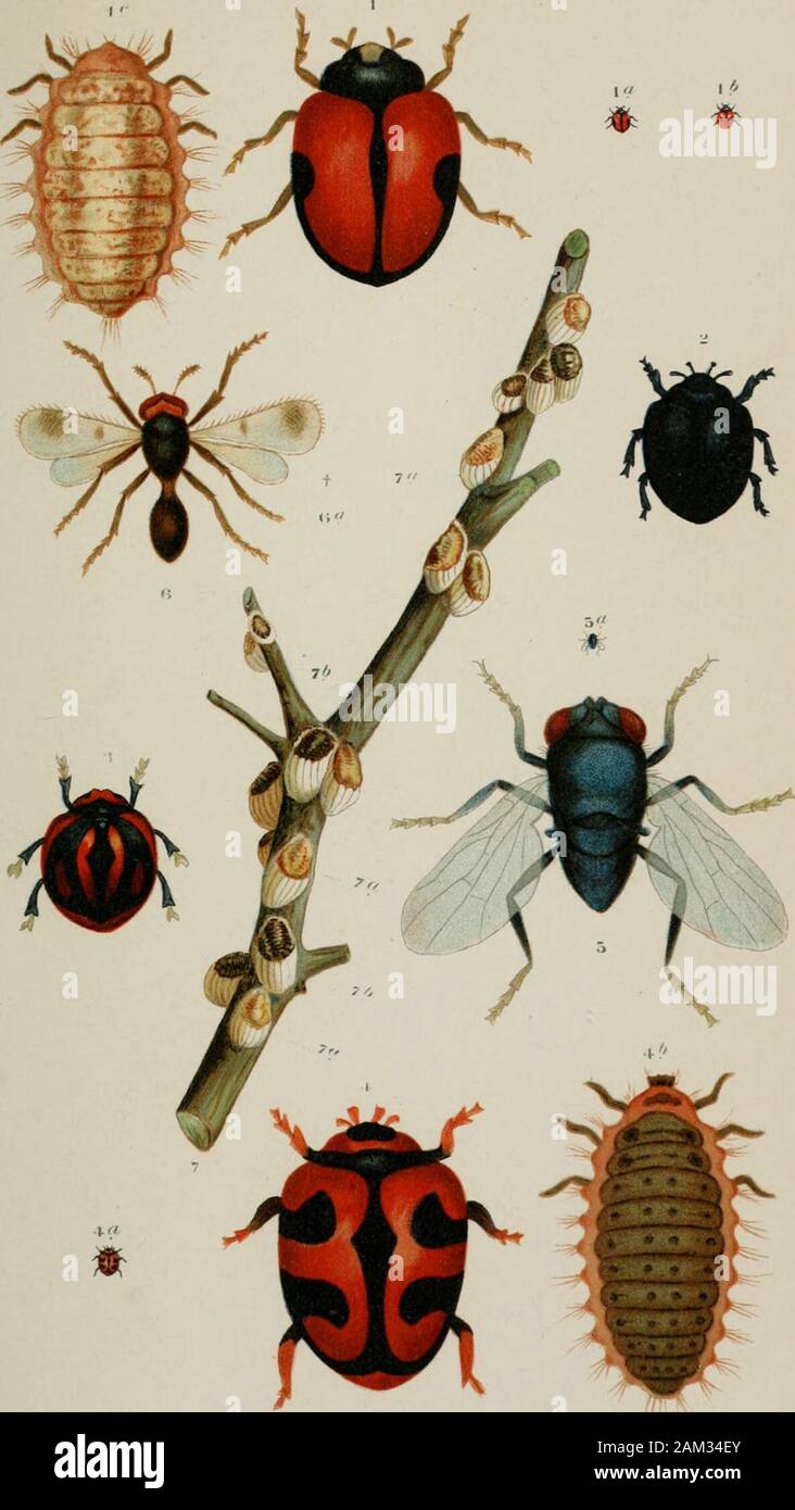 Appendix to the Journals of the Senate and Assembly of the ..session of ...