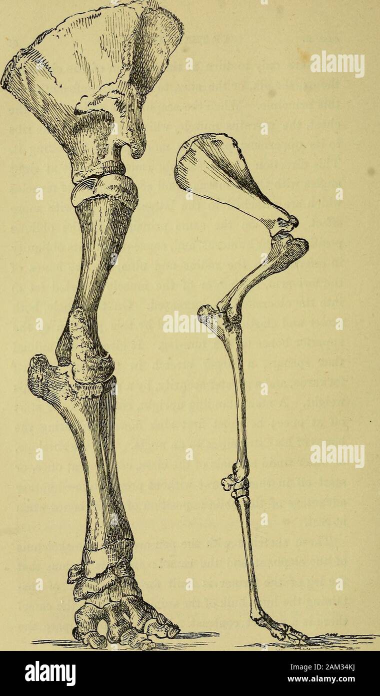 Throwing mechanism hi-res stock photography and images - Alamy