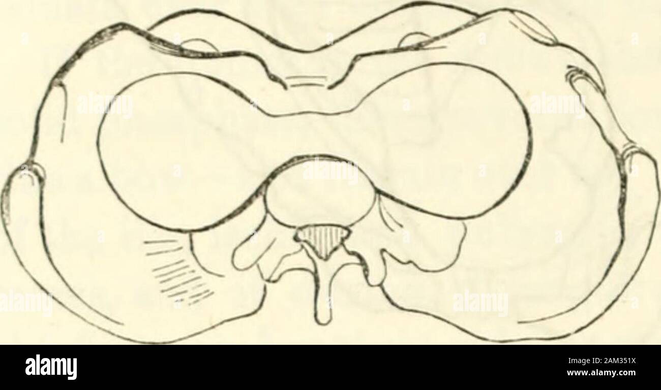 Ischii hi-res stock photography and images - Alamy