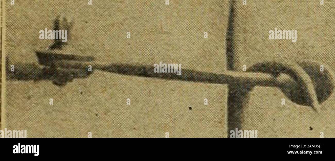 Coarse ware hi-res stock photography and images - Alamy