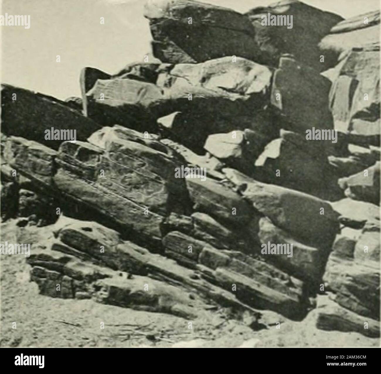 Vue au microscope hi-res stock photography and images - Alamy