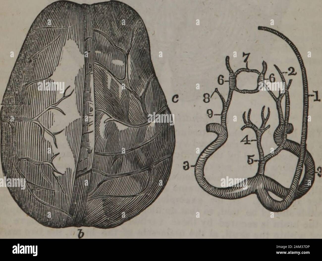 Physical distribution book hi-res stock photography and images - Alamy