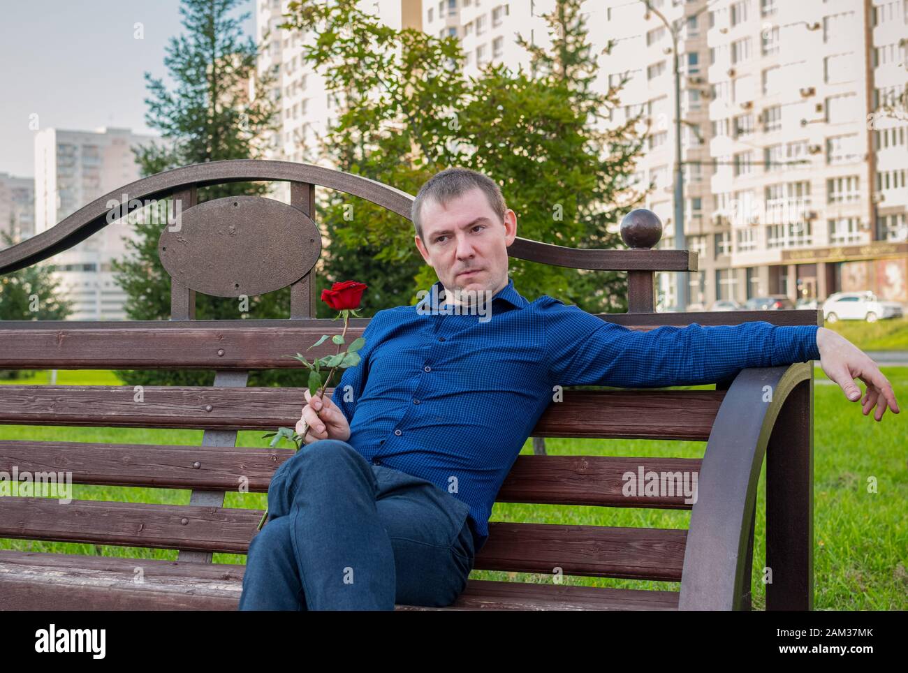 Sad man sitting on a park bench with a rose in his hands and thinking ...