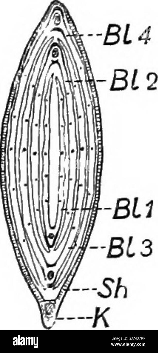 Split pt Black and White Stock Photos & Images - Alamy