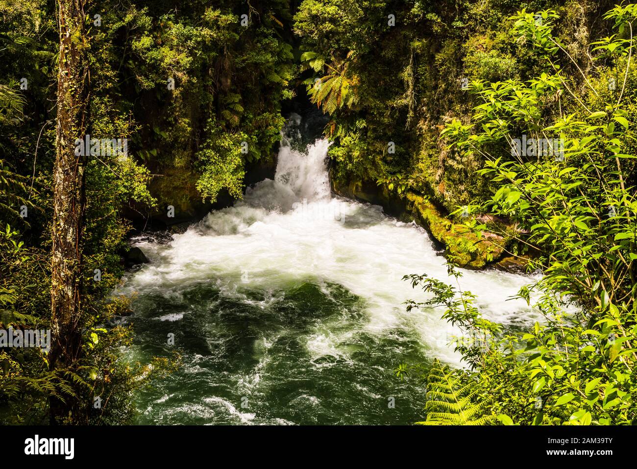 Kaituna River New Zealand High Resolution Stock Photography and Images ...