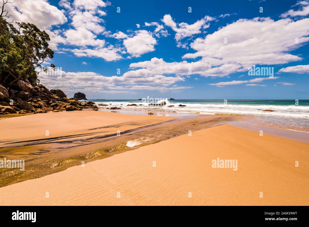 Whiritoa beach hi-res stock photography and images - Alamy