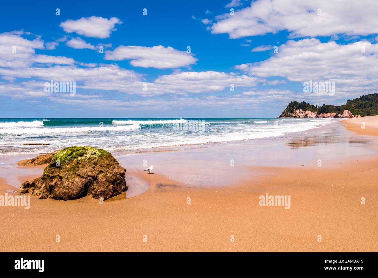 Surf and sands at Whiritoa Beach, Waikato, North Island, New Zealand ...