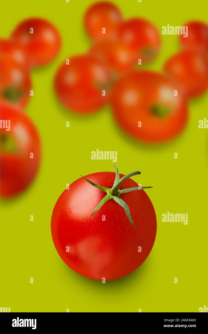 the most beautiful tomato on the scene, inviting amongst others on ...