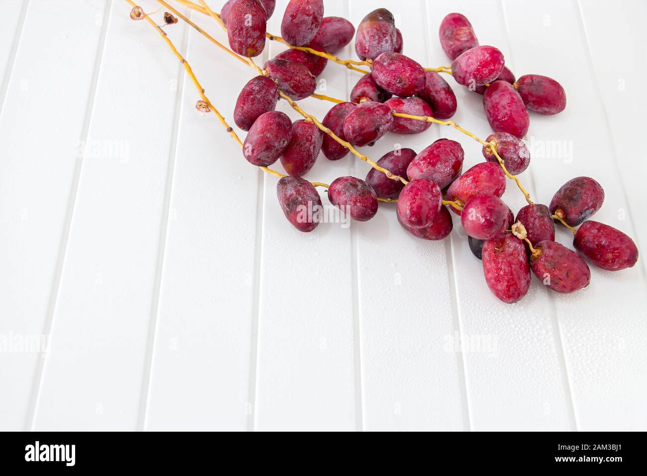 A bunch fresh raw organic dates on a branch on a white background Stock ...
